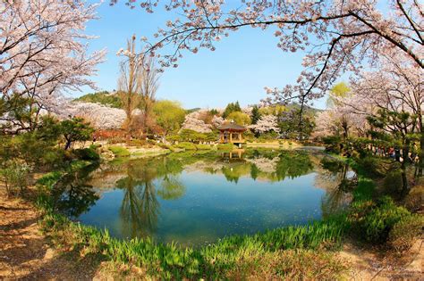 Spring At Bomun Pavilion Gyeongju Gyeongju Tourist Places South Korea
