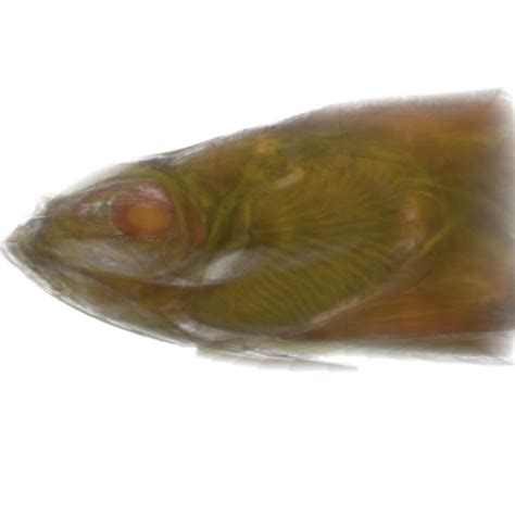 Papers Takahiro Harada