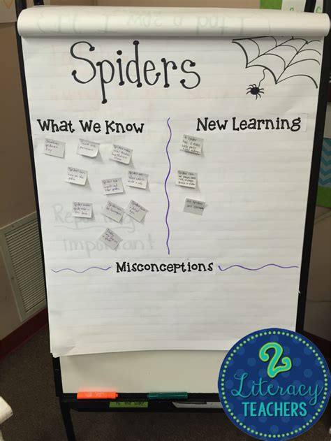 Creepy Crawly Spiders 2 Literacy Teachers