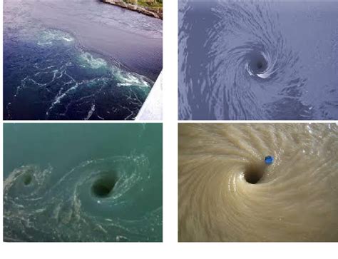Figure 1 From A Novel And Effective Optimization Algorithm For Global Optimization And Its