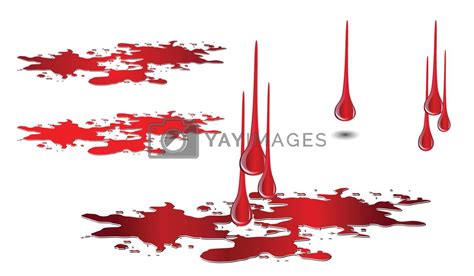 Dripping Blood And Puddle Set Isolated On White Blood Drop Vector By