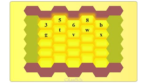 تصميم صفحات html مع تنسيق css مع برمجة javascript خمسات