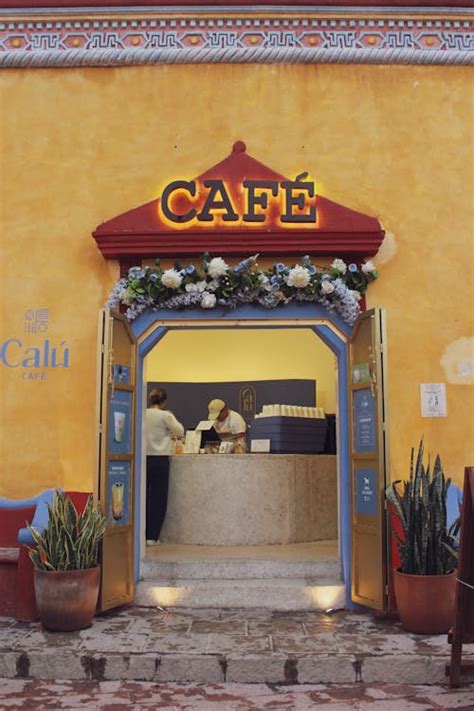 고객 서비스 꽃 장식 난색 노란 벽 도시 생활 도시의 따뜻한 음색 러스틱 매력적인 분위기 모임 장소 문 열림 문화 체험 바리스타 벽돌 바닥 부드러운