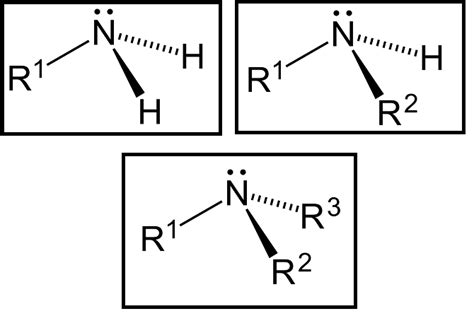 Difference Between Amine And Amide Definition Structure Properties