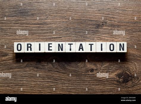Orientation Word Concept On Building Blocks Text Stock Photo Alamy