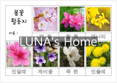 자료공유 봄꽃 활동지 봄꽃 작은책 만들기 2020 꽃 그림 카드