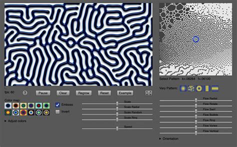 Reaction Diffusion Simulations Code Html Css