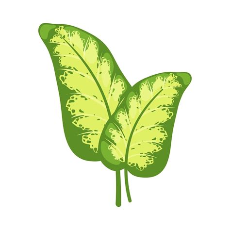 Premium Vector Tropical Leaf On Stem As Exotic Flora Vector Illustration