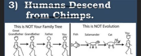 This Infographic Breaks Down The Top Five Misconceptions About