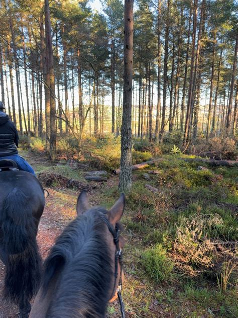 Jillian Owen On Linkedin Apachelovestrees Treedonation Scotland