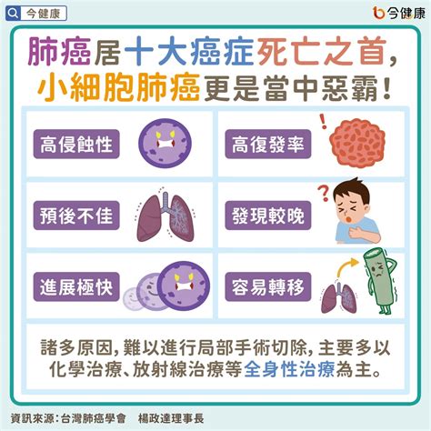 小細胞肺癌治療新里程！免疫併化療納健保擊退肺癌惡霸！｜四季線上4gtv