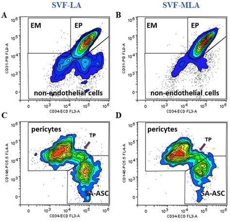 Nucleated Cd45 Live Cells Were Analyzed For The Presence Of The Cd31