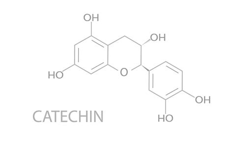 Catechin Molecular Skeletal Chemical Formula Stock Illustration