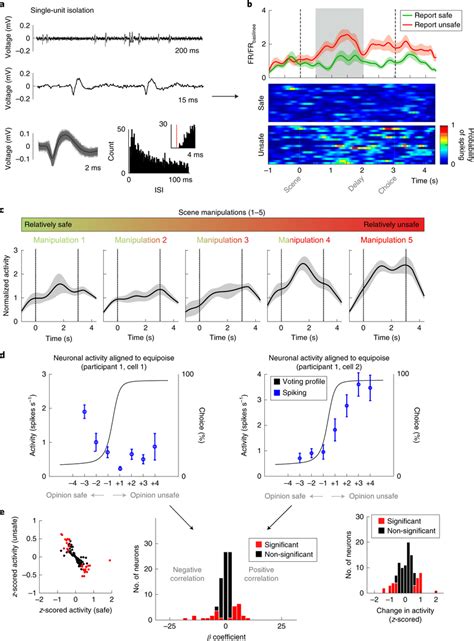Neuronal Responses In The Dlpfc Correlate With Variations In The Download Scientific Diagram