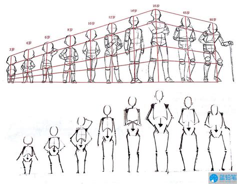 【绘画入门第二弹】从火柴人开始分析人体结构！ 哔哩哔哩