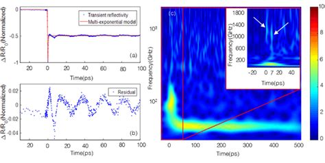 A Vibrational Modes Superimposed On The Tr Signal B The Fit