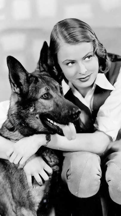 🎈 عنوان ویدیو معرفی ژرمن شپرد🔥جذاب و با ابهت Youtube