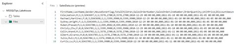 Create A Data Lakehouse In Microsoft Fabric