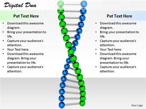 Dna Structure And Function Powerpoint