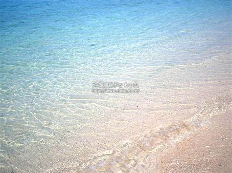 透明な水。飲めそうな海の水 瀬底島の写真
