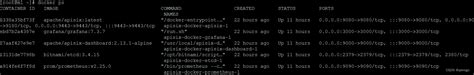 Jenkins与apisix整合，实现自动化部署与负载均衡、灰度发布（蓝绿发布）apisix 灰度发布 Csdn博客