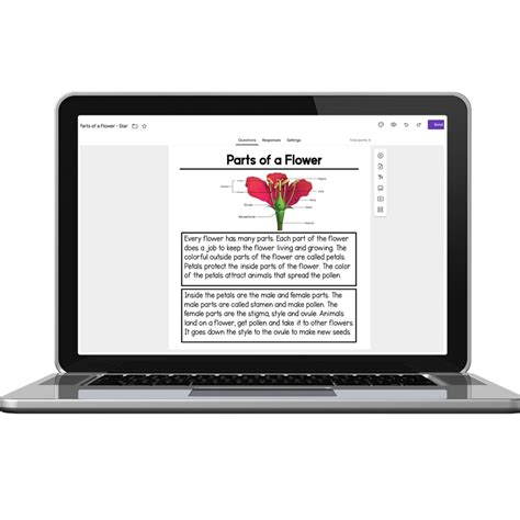 Digital 2nd Grade Reading Passages Text Features Parts Of A Flower