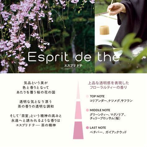 エスプリ ド テ スティック40本入 Esteban