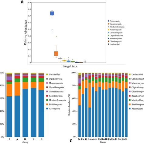 The Lefse Analysis Evolutionary Branch Diagram And The Species With Lda
