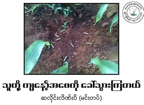 Timeayeyar တိုင္းဧရာ Home Facebook