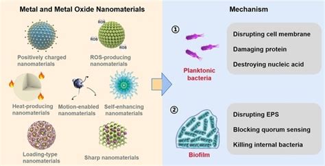 Ijms Free Full Text Metal And Metal Oxide Nanomaterials For Fighting Planktonic Bacteria And
