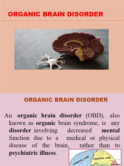 Organic Brain Disorder Pdf Dementia Amnesia