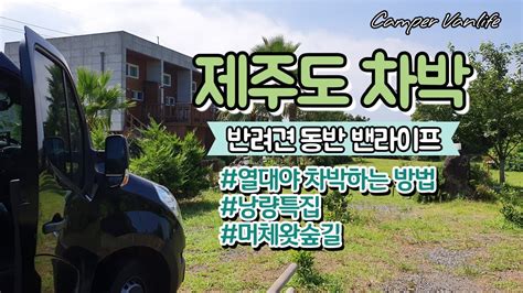제주도차박캠핑 열대야 차박하는 가장 좋은 방법 Youtube