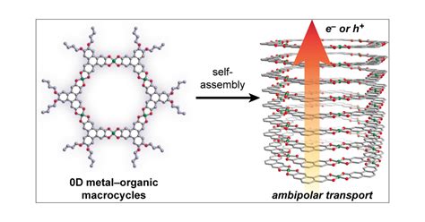 Conjugated Metalorganic Macrocycles Synthesis Characterization And
