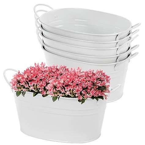 6 Pack Metal Flower Pots With Handles House Plants Expert