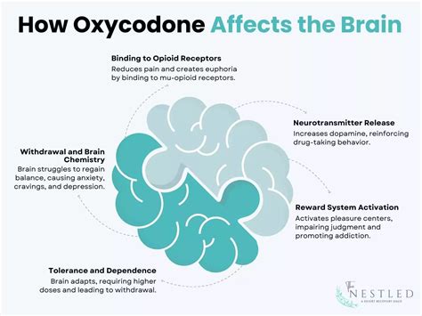 Oxycodone Addiction Symptoms Causes Effects Treatment