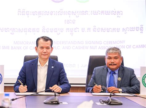 ធនាគារមួយផ្ដល់ហិរញ្ញប្បទាន១០០លានដុល្លារ ដើម្បីដោះស្រាយបញ្ហាប្រឈមក្នុងវិស័យស្វាយចន្ទី