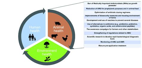 Actions Conducted In Livestock To Tackle Antimicrobial Resistance From