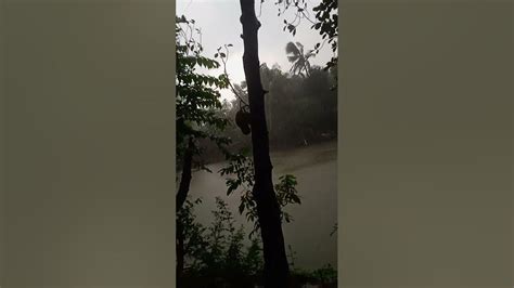 প্রচন্ড গরমের পর বৃষ্টির একটি সুন্দর ভিডিও আপনাদের সাথে শেয়ার করলাম। 🌧