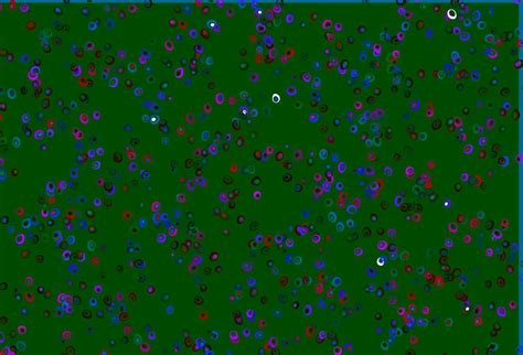 Light Multicolor Rainbow Vector Texture With Disks 5329673 Vector Art At Vecteezy