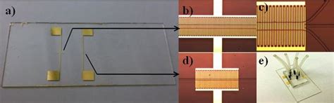 Fabrication Steps A Patterned Gold Electrodes On Glass Substrate B