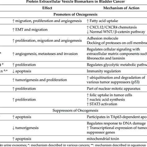 Molecular Pathways Of Ev Protein Biomarkers In Bladder Cancer