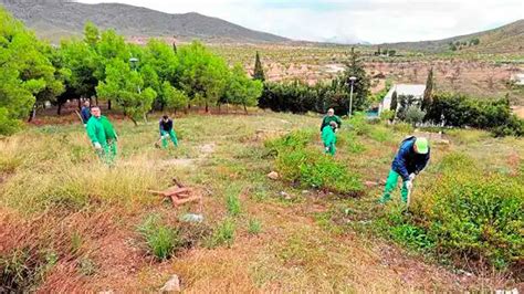 Más De 120 Puestos De Trabajo Disponibles Para Peones Agrícolas Con