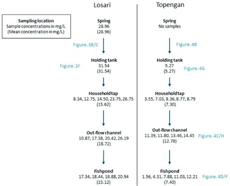 Flowchart Of Nitrate Concentrations In The Key Water Sources In Losari