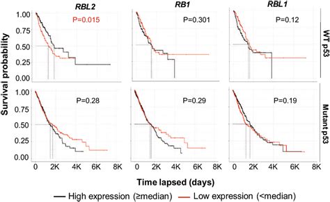 High Expression Of Rbl2 Correlates With Better Prognosis In Nsclc