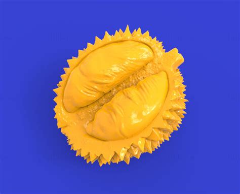 Durian 3d Print Model