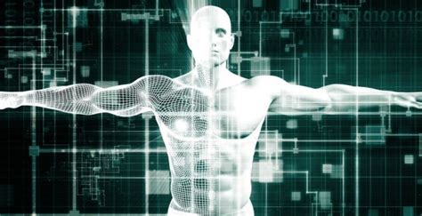 Body Composition By DEXA Are DEXA Scans Accurate