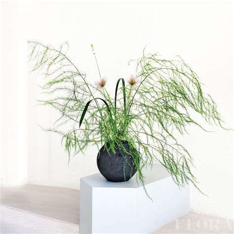 월간 플로라 💐6월의 시즌테마 로즈데이 시즌 상품 추천💐 월간 플로라 6월의 시즌테마는 그린소재를