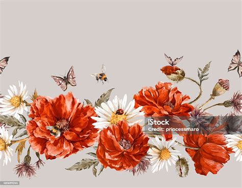 여름 워터컬러 빈티지 플로럴 원활한 테두리 꽃 아르카디아 Poppies 꽃 식물에 대한 스톡 벡터 아트 및 기타 이미지 꽃