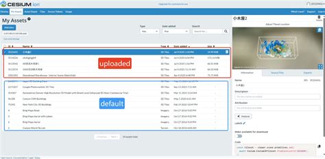 Cesium Integration User Manual