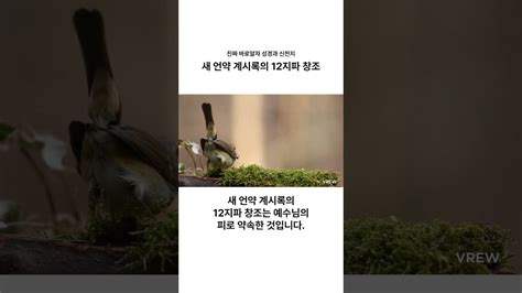 신천지 새 언약 계시록의 12지파 창조 신천지 12지파 Youtube